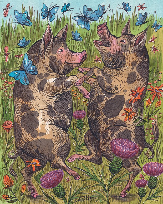 Returning to the wild – Lifeguard Health